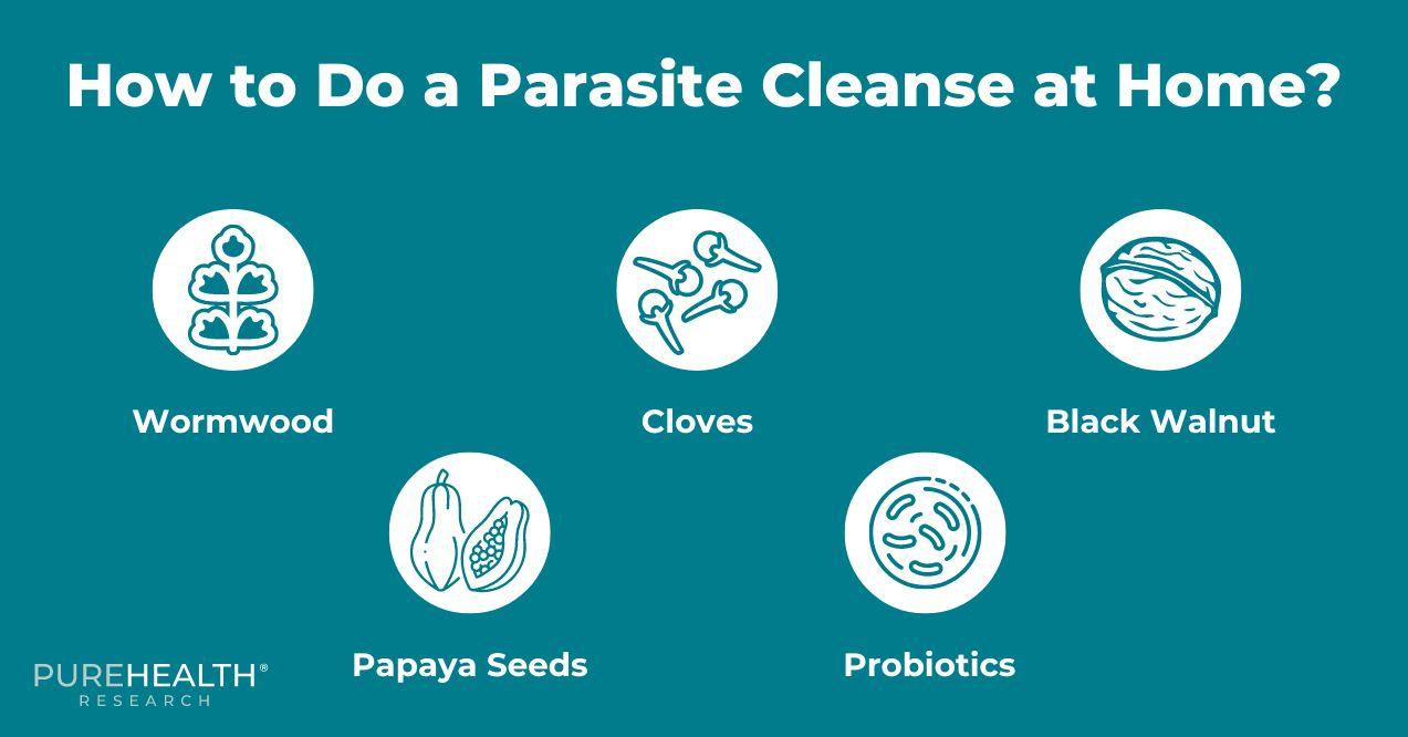 How to Do a Parasite Cleanse? | PureHealth Research