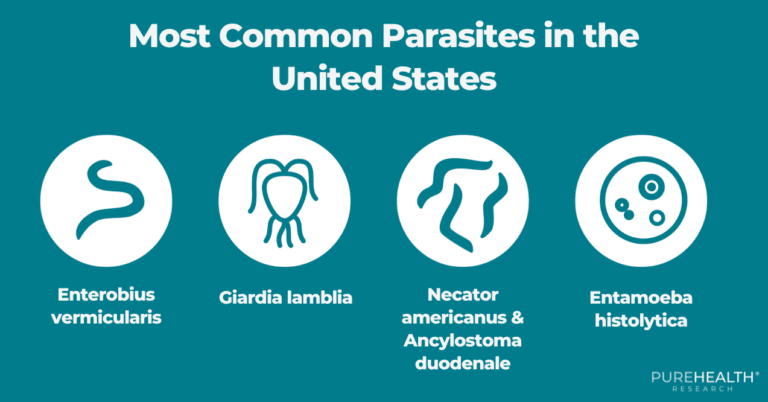 How Long Should You Parasite Cleanse? (Expert Advice) | PureHealth Research