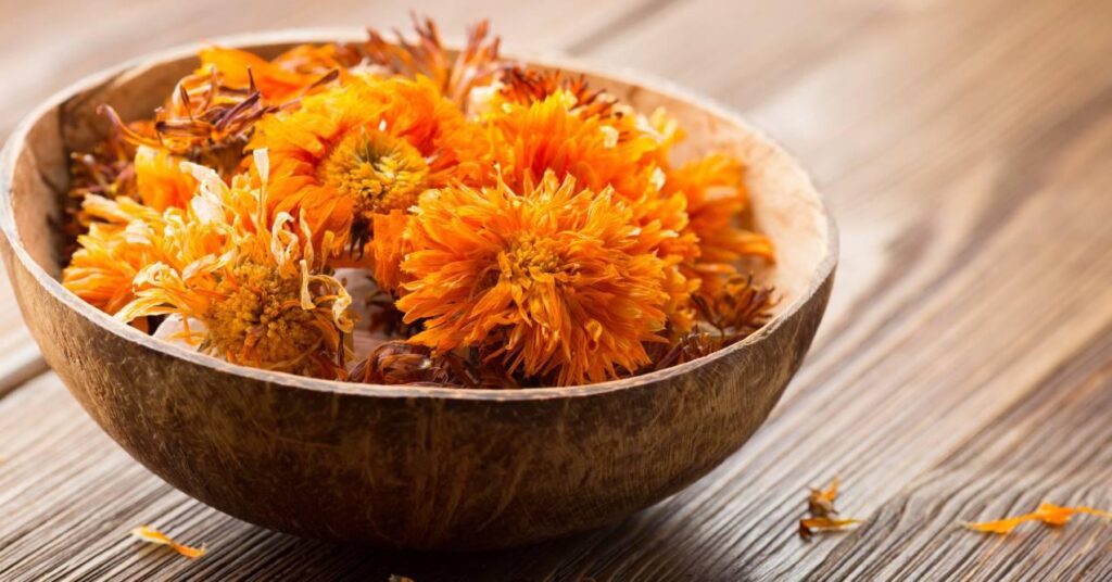 Lymphatic System Cleanse: Step-By-Step Guide | PureHealth Research