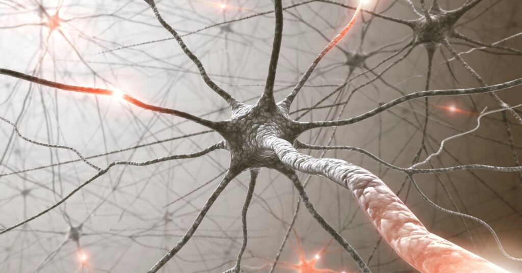 Comprehensive Guide to Managing a Dysregulated Nervous System ...