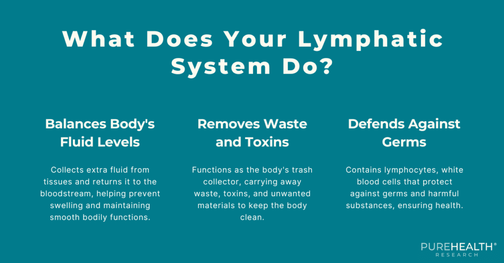 7 Best Herbs for Lymphatic System | PureHealth Research