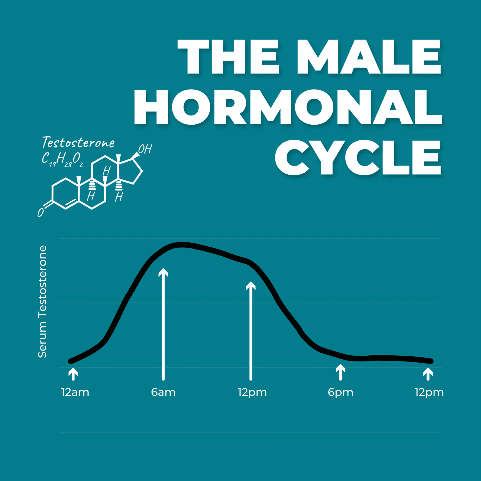 Do Men Have Hormonal Cycles? A Month-Long Study Explained | PureHealth ...
