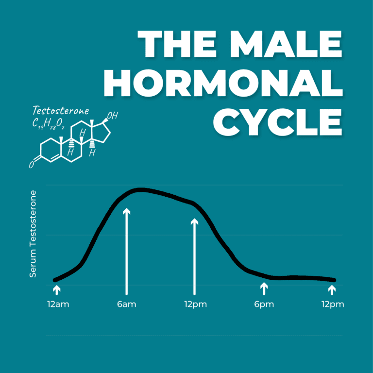 Do Men Have Hormonal Cycles? A Month-Long Study Explained | PureHealth ...
