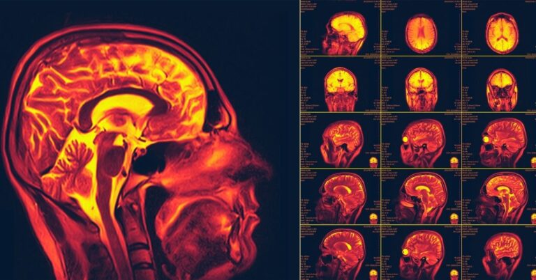 Why Cherishing Happy Moments is Good for Your Brain | PureHealth Research