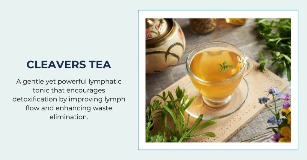 9 Best Teas for Lymphatic Drainage | PureHealth Research
