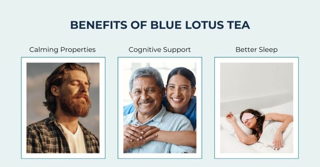 Blue Lotus Tea: Why Is It So Popular? | PureHealth Research
