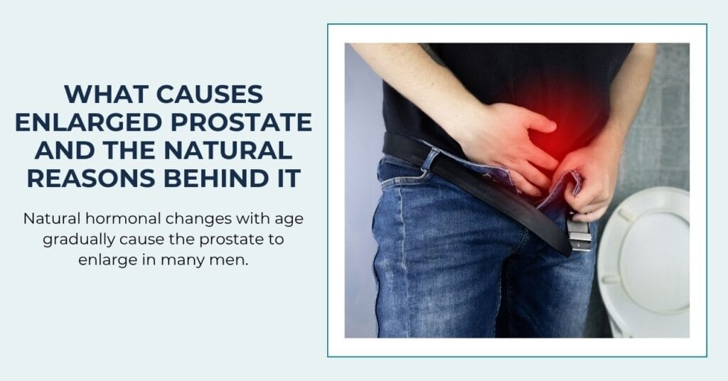 What Causes Enlarged Prostate? Understanding BPH Triggers | PureHealth Research