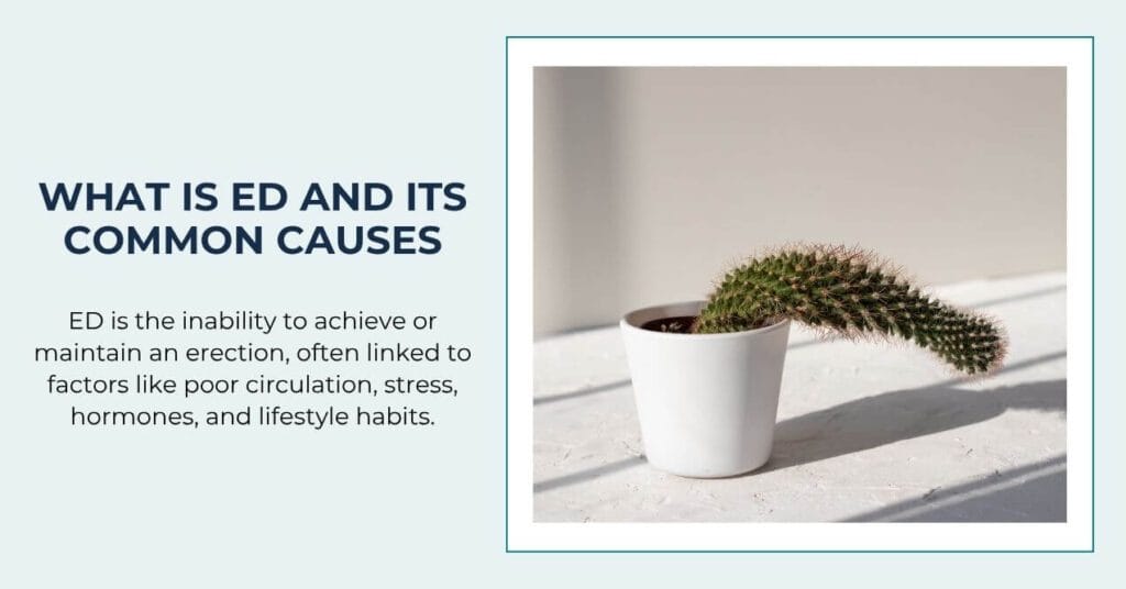 Can an Enlarged Prostate Cause ED? The Truth About BPH | PureHealth ...