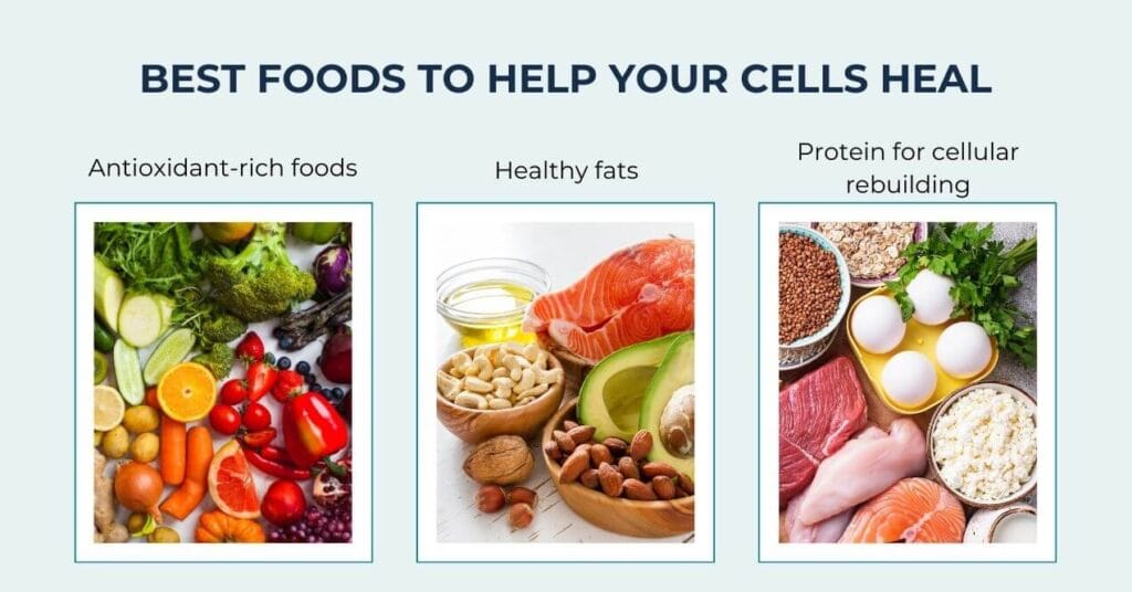 How to Repair Damaged Cells Naturally | PureHealth Research