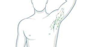 Lymphatic Drainage Map: How to Use for Self-Massage | PureHealth Research