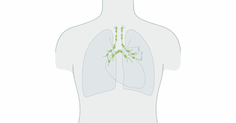 Lymphatic Drainage Map: How to Use for Self-Massage | PureHealth Research