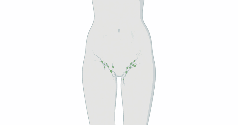 Lymphatic Drainage Map: How to Use for Self-Massage | PureHealth Research