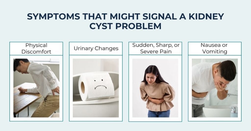 What Size of Kidney Cyst Is Dangerous? The Complete Guide to Simple vs ...