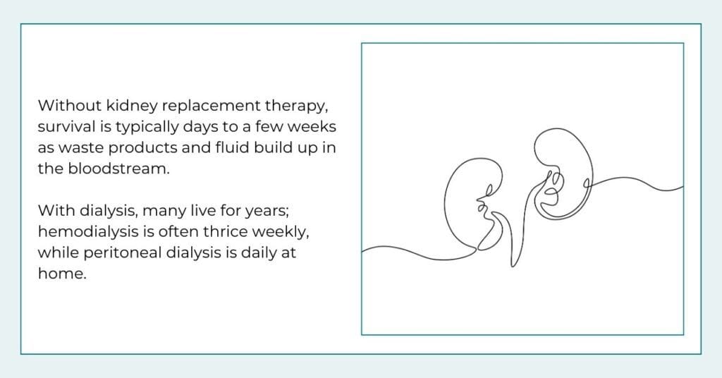 Can You Live Without Kidneys? The Complete Guide to Life Expectancy ...